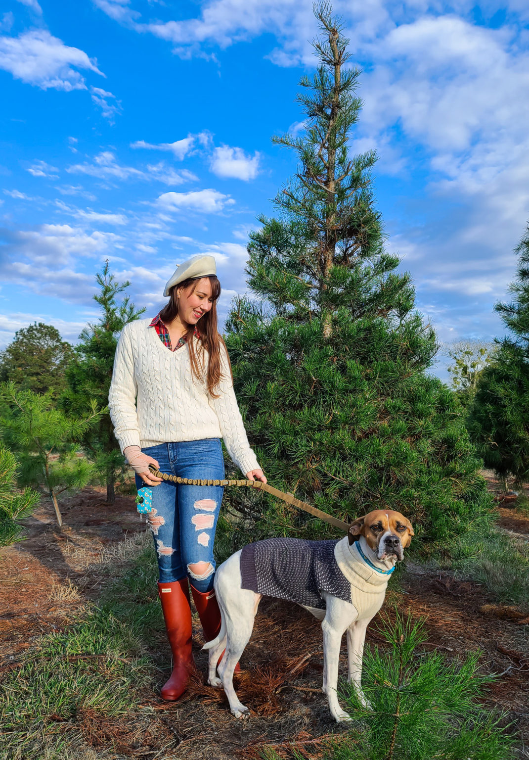 Christmas Tree Hunting in 2020; A Family Tradition – …on the B.L.